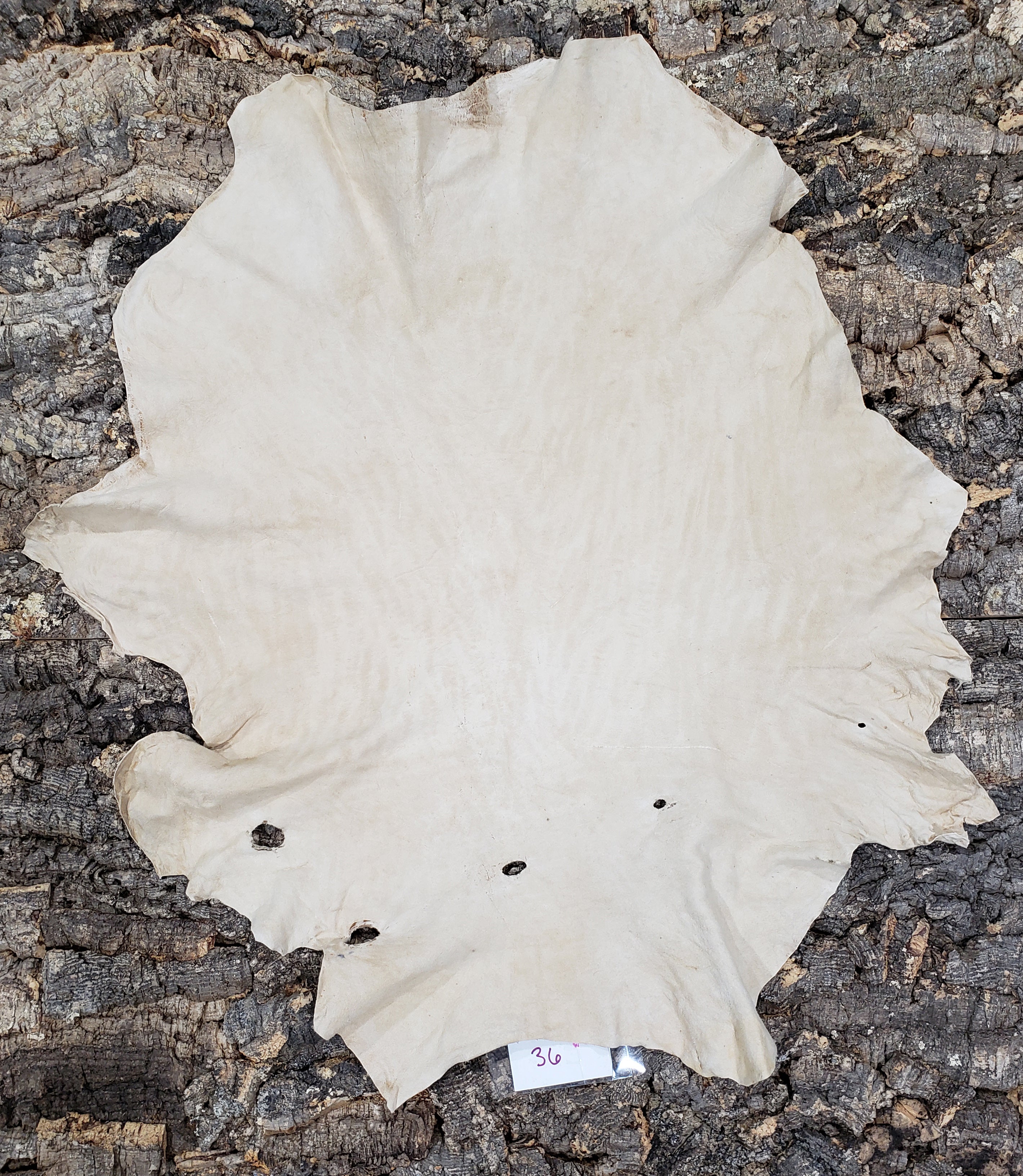 Brain tanned buckskins – Mel of the Mountains